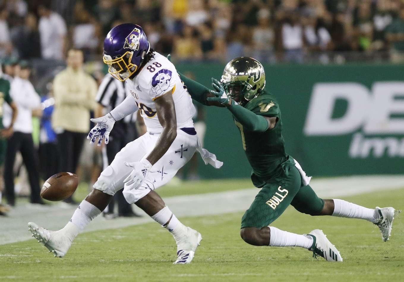 The Bulls Pen, Home of the USF Bulls