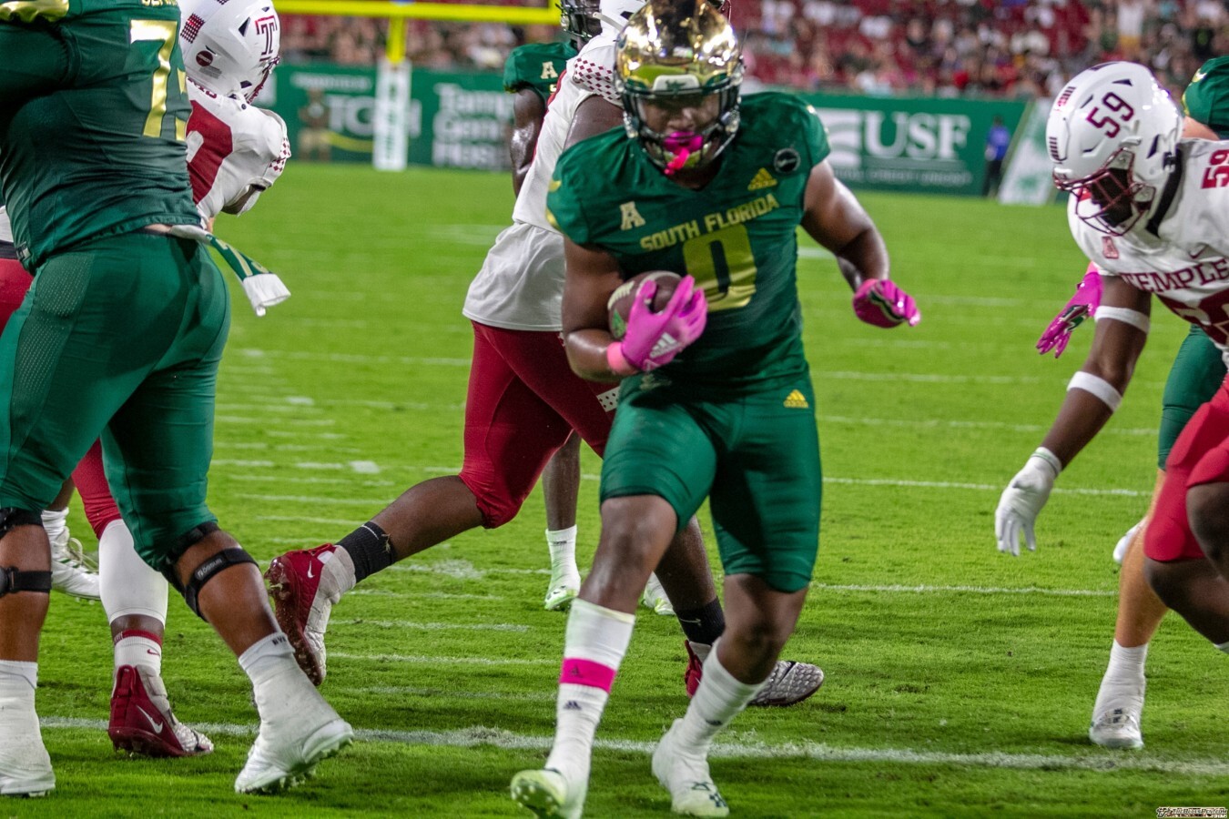 The Bulls Pen, Home of the USF Bulls