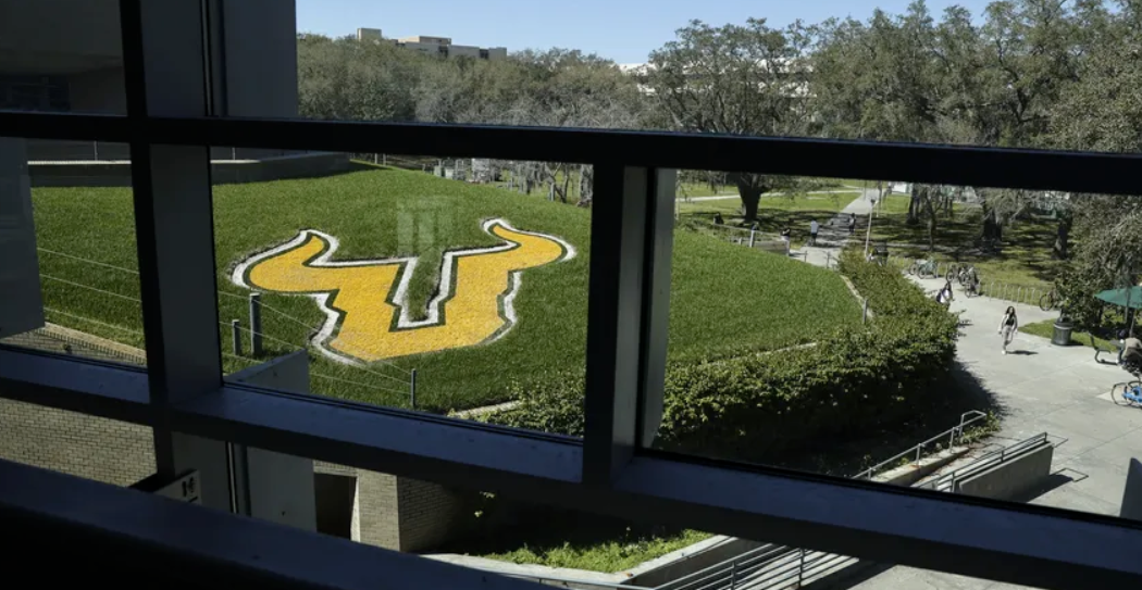 The Bulls Pen, Home of the USF Bulls
