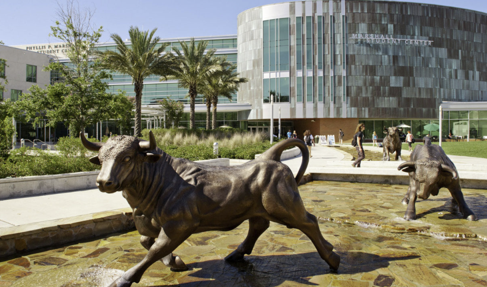 The Bulls Pen, Home of the USF Bulls