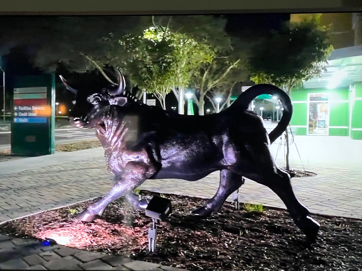 The Bulls Pen, Home of the USF Bulls