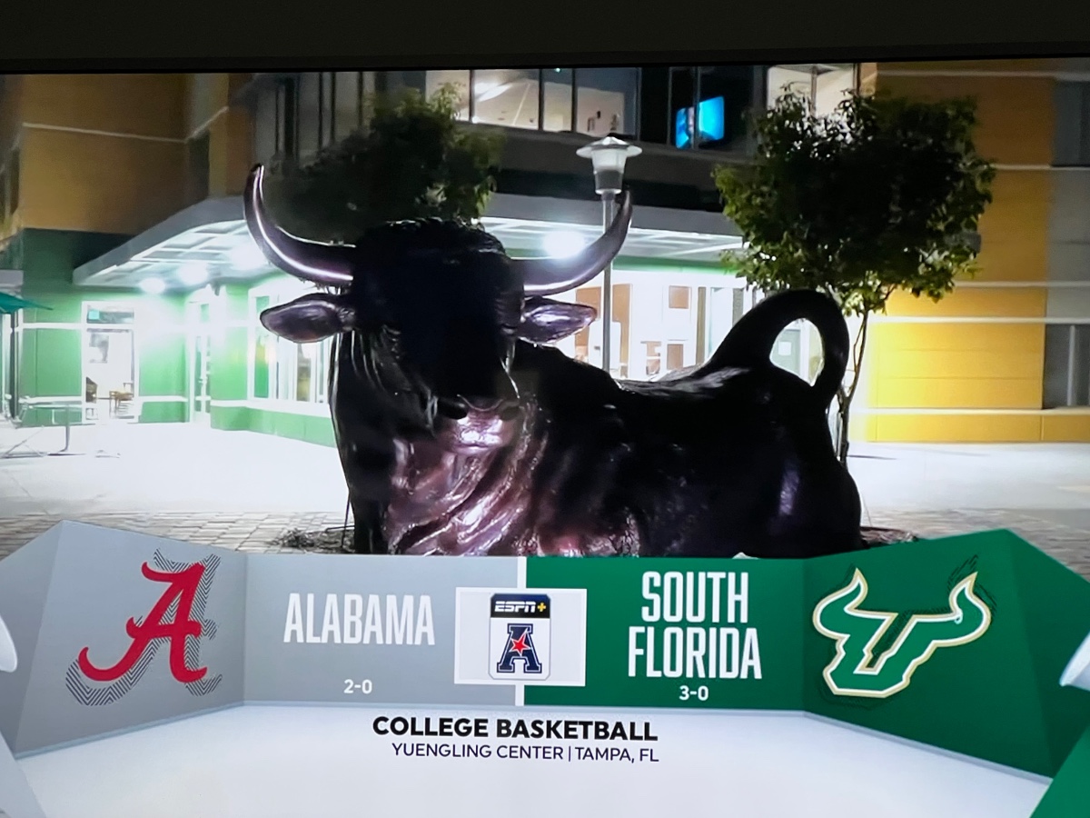 The Bulls Pen, Home of the USF Bulls