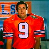 The Bulls Pen, Home of the USF Bulls