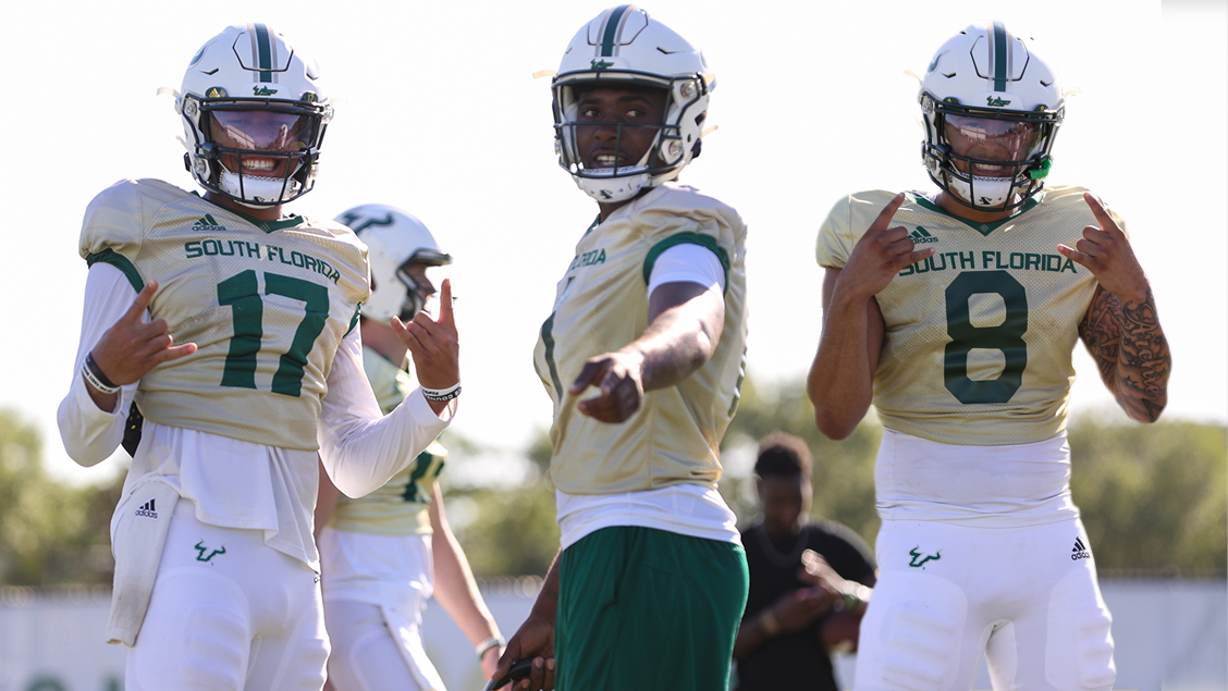 The Bulls Pen, Home of the USF Bulls