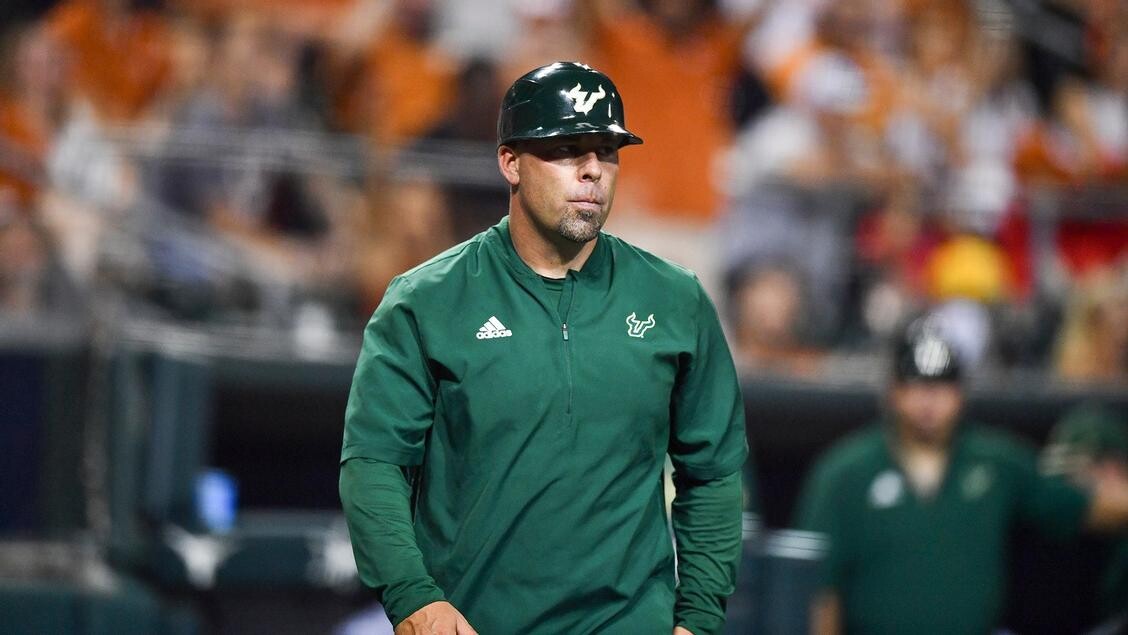 USF South Florida Bulls