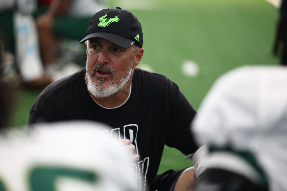 The Bulls Pen, Home of the USF Bulls