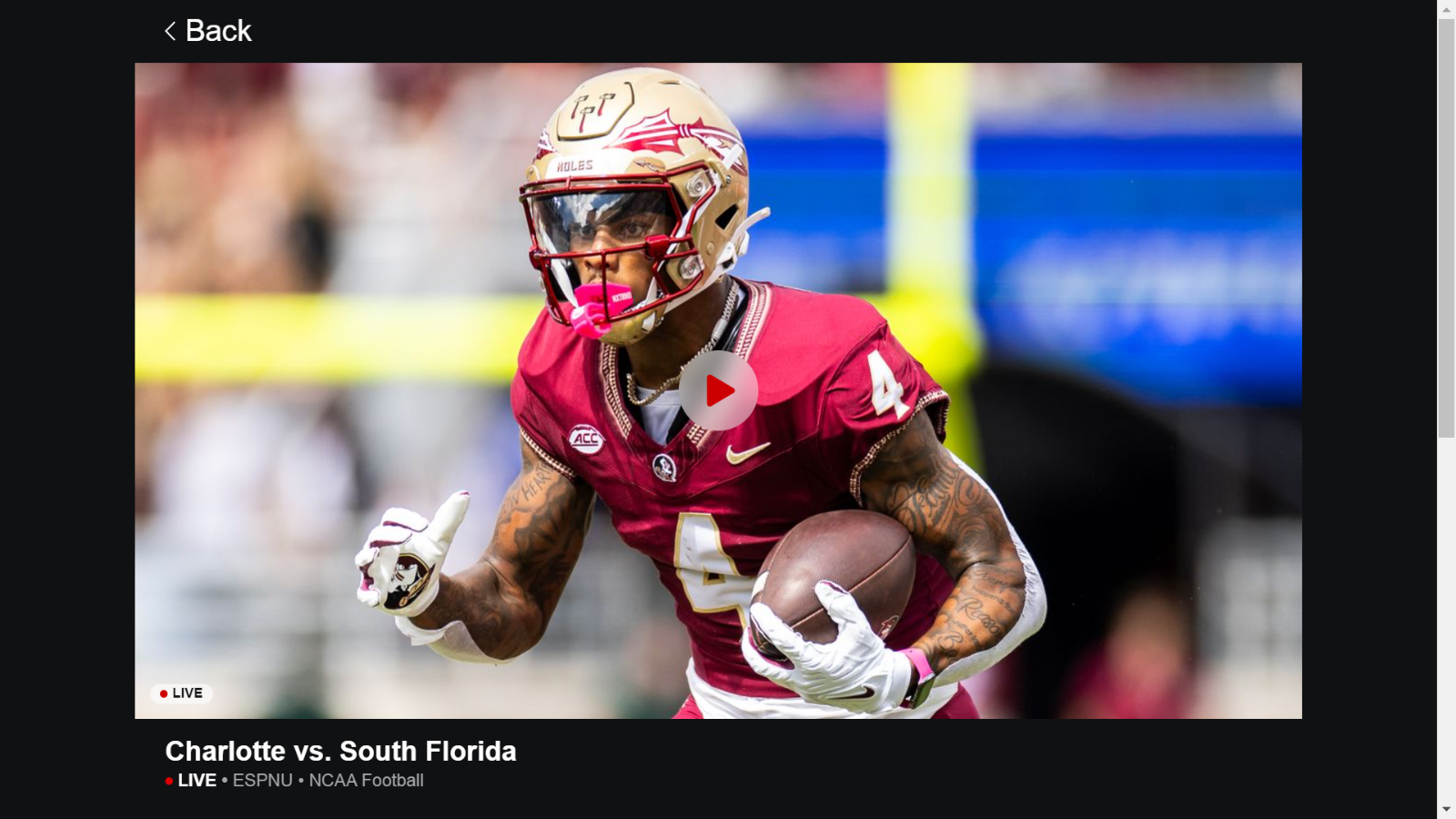 The Bulls Pen, Home of the USF Bulls