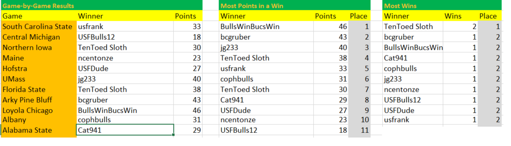 USF South Florida Bulls