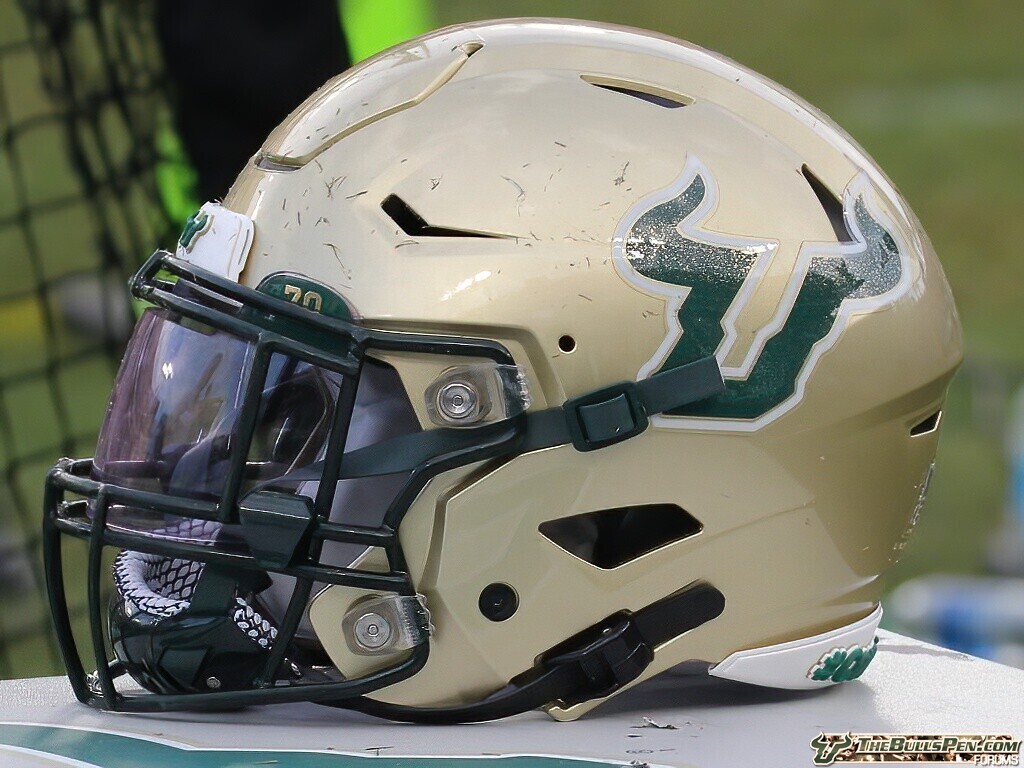The Bulls Pen, Home of the USF Bulls