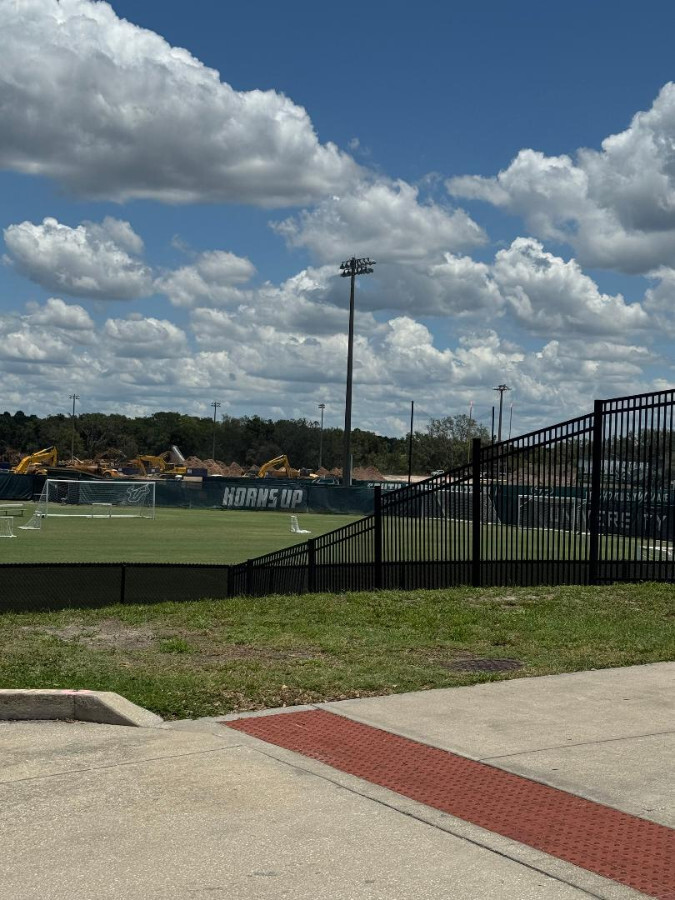 The Bulls Pen, Home of the USF Bulls