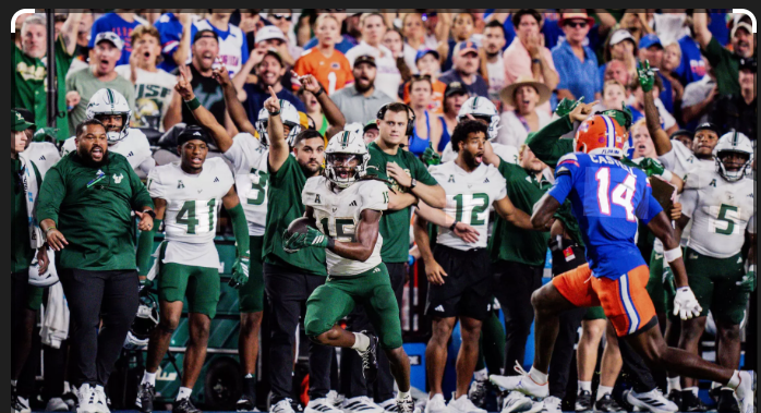 The Bulls Pen, Home of the USF Bulls